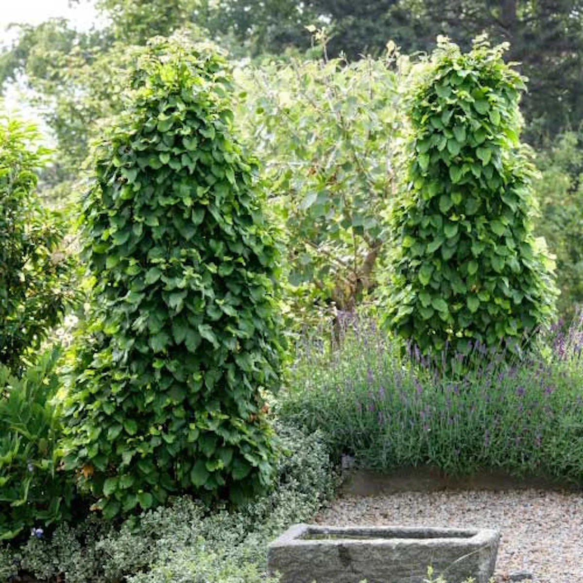 AvenBok Omnia Garden 125-150 cm frp - 101001-150