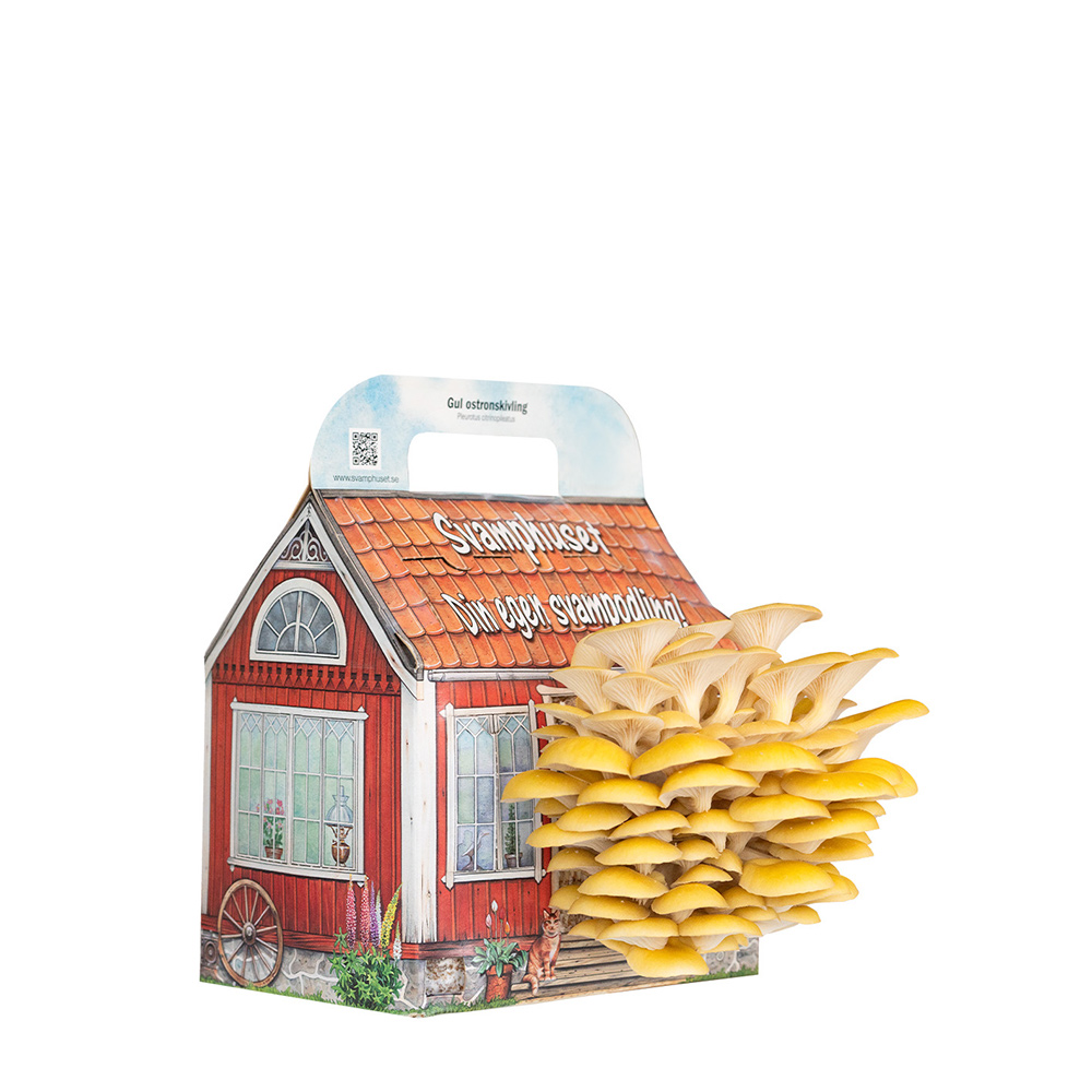 Svamphus Omnia Garden Ostronskilvling Gul - 101866